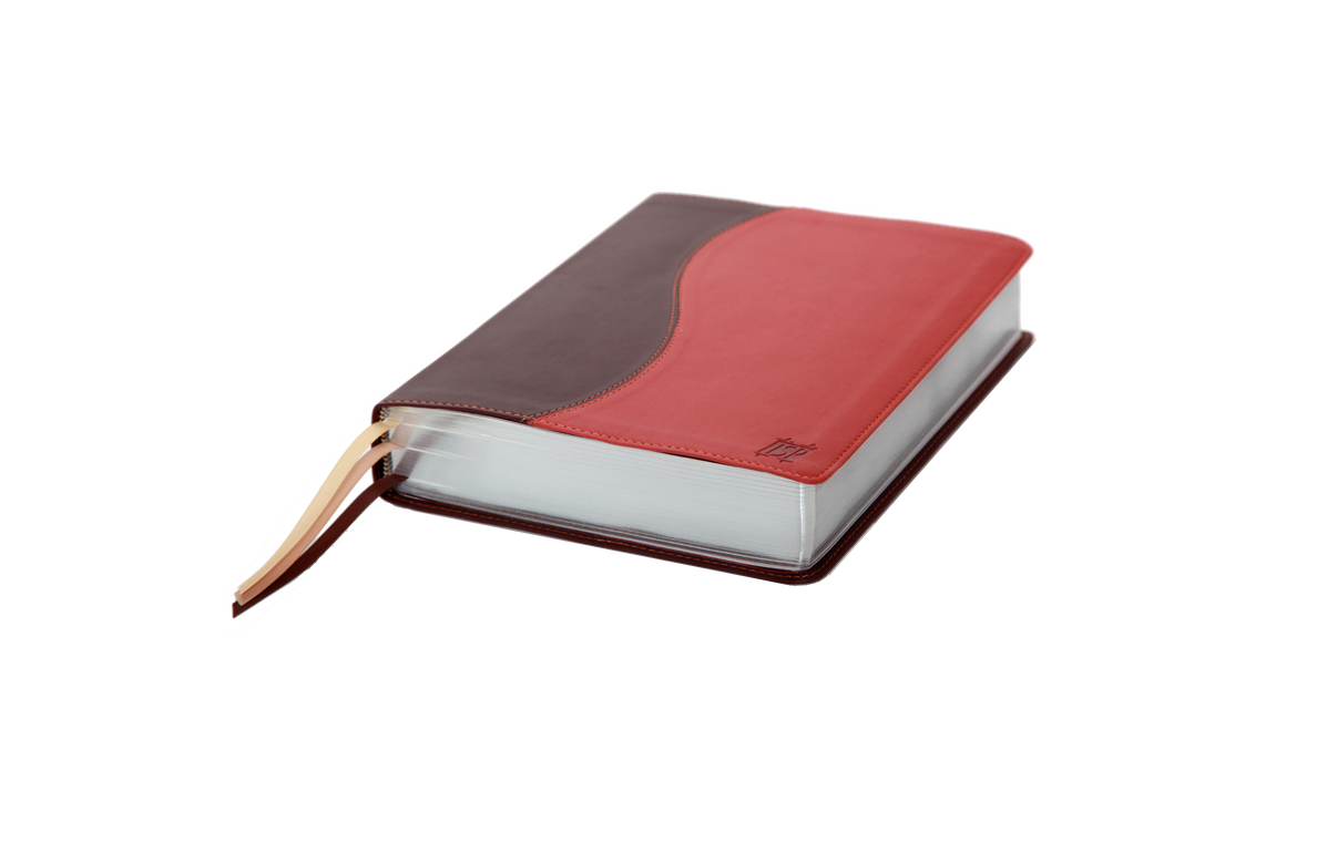 The Scriptures, Duotone Tan – Institute for Scripture Research