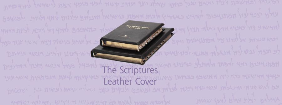 Institute for Scripture Research