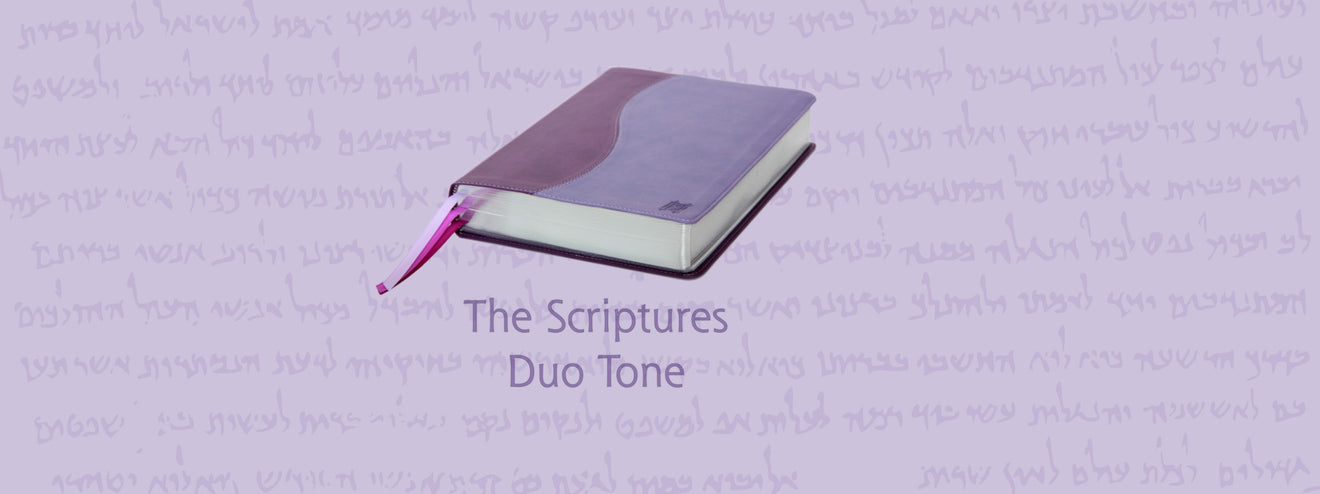 Institute for Scripture Research