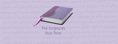 Institute for Scripture Research