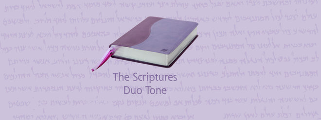 Institute for Scripture Research
