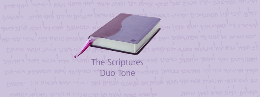 Institute for Scripture Research