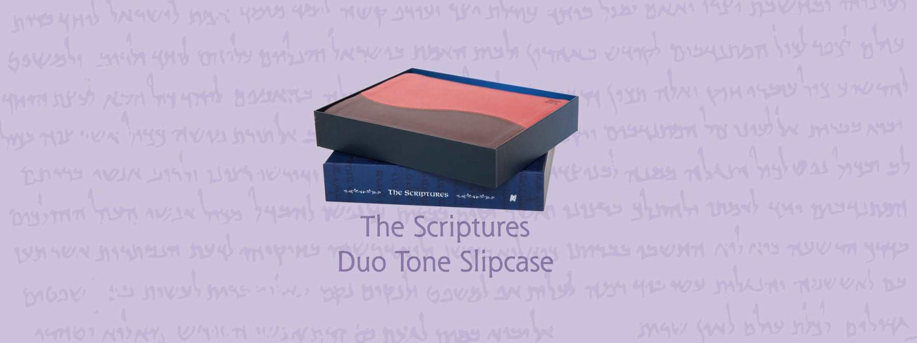 Institute for Scripture Research