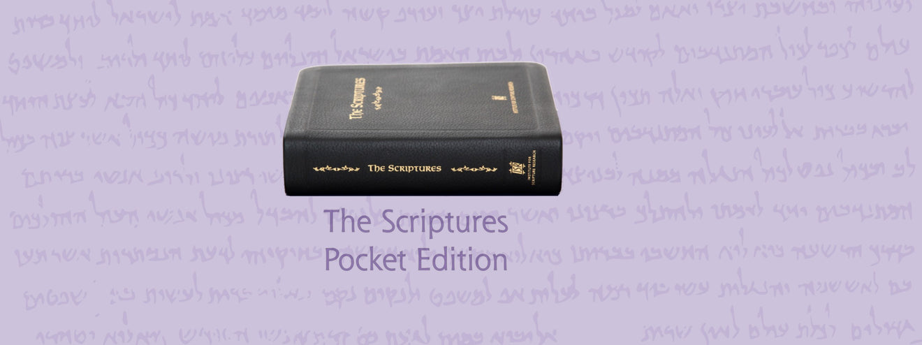 Institute for Scripture Research