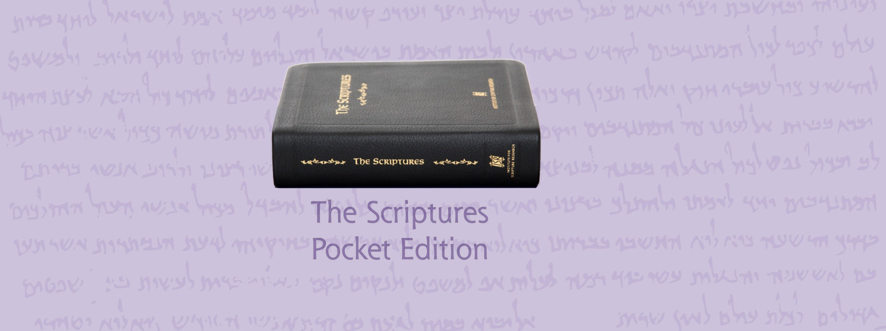 Institute for Scripture Research